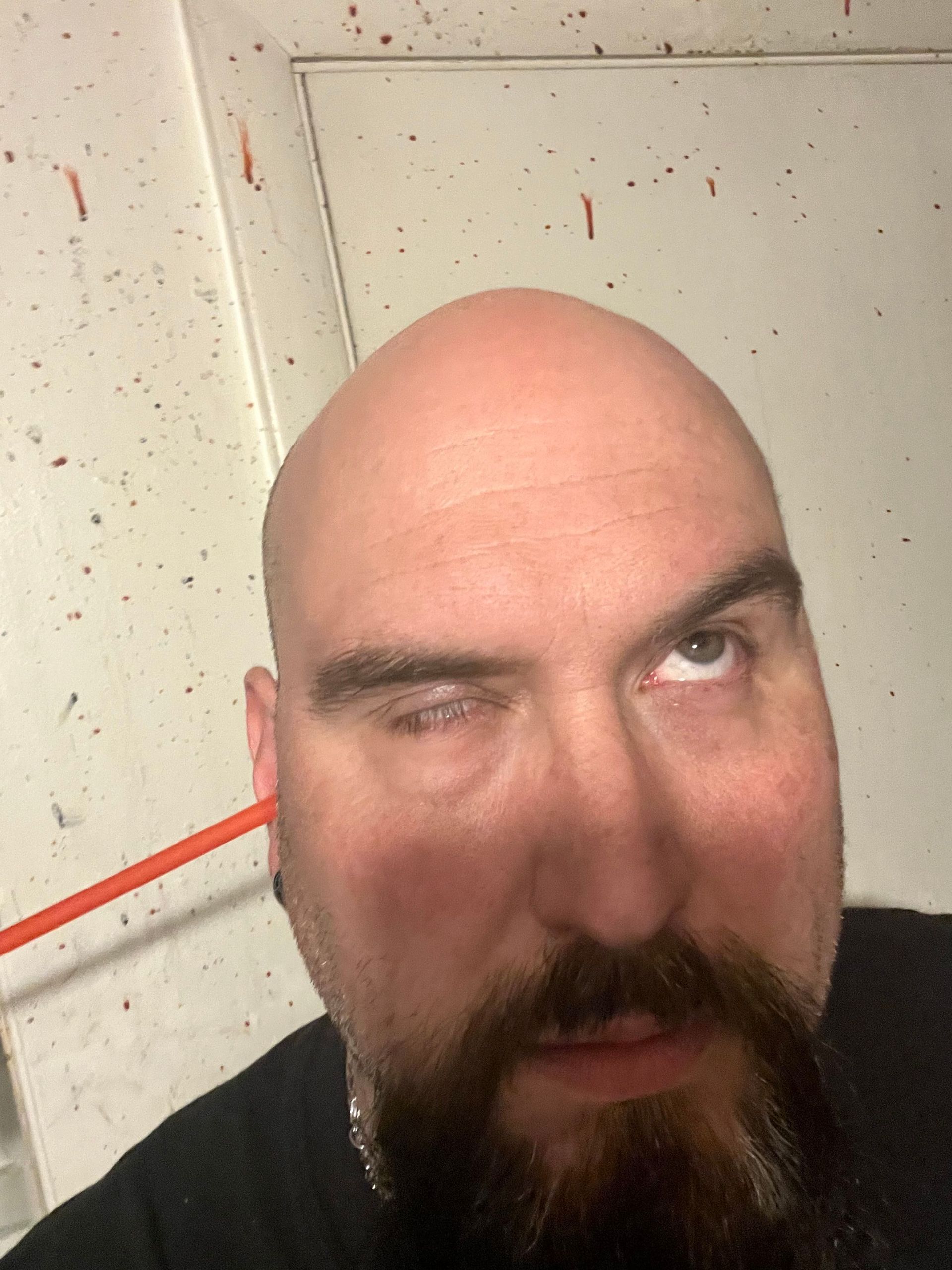 Circus Of The Dead 2 - Cast & Crew Experience