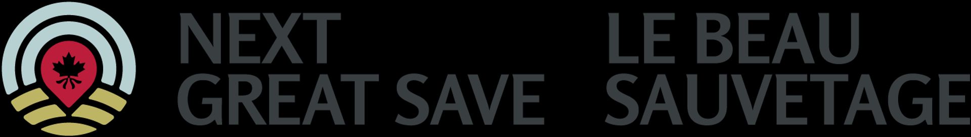 Next Great Save