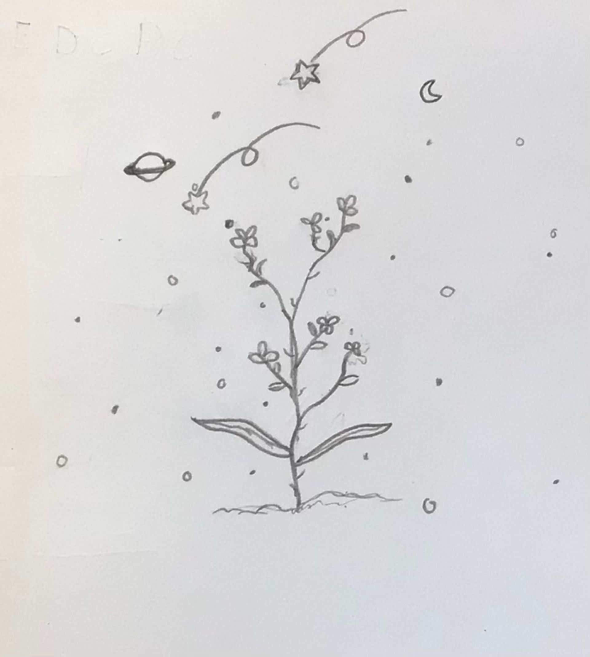 Viewing The Spencil Art Prize - The Spencil Art Prize